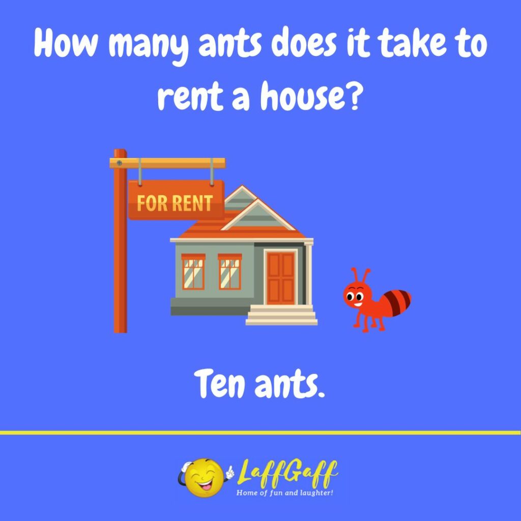 Funny House Rental Joke! | LaffGaff, Home Of Laughter