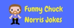 The 95 Best Chuck Norris Jokes And Facts | LaffGaff