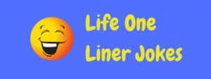40+ Really Funny One Liners About Life! | LaffGaff