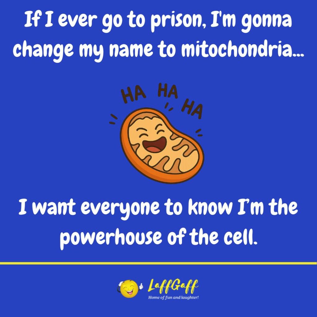 Funny Mitochondria Joke! | LaffGaff