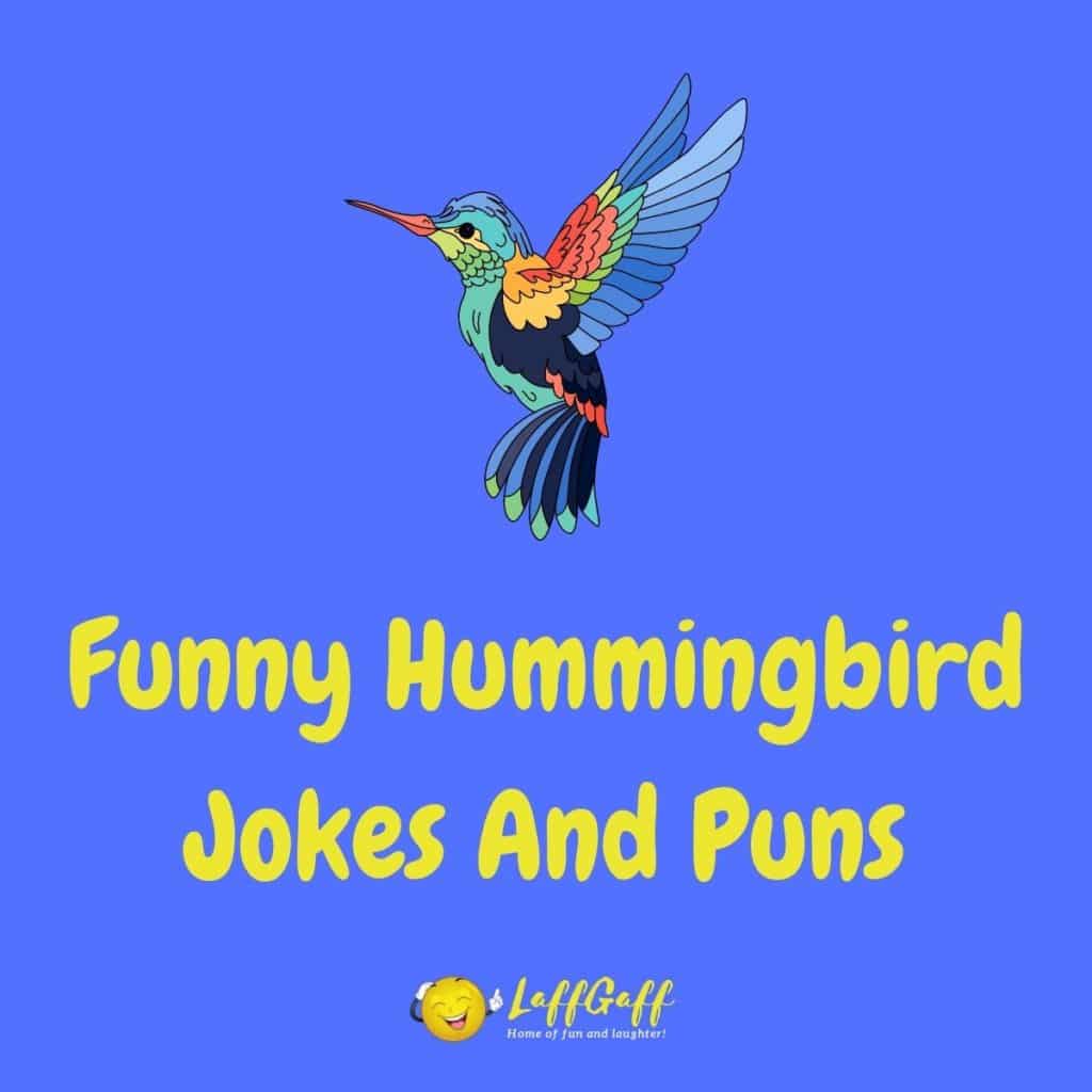 40 Funny Bird Jokes & Puns | LaffGaff, Home Of Laughter