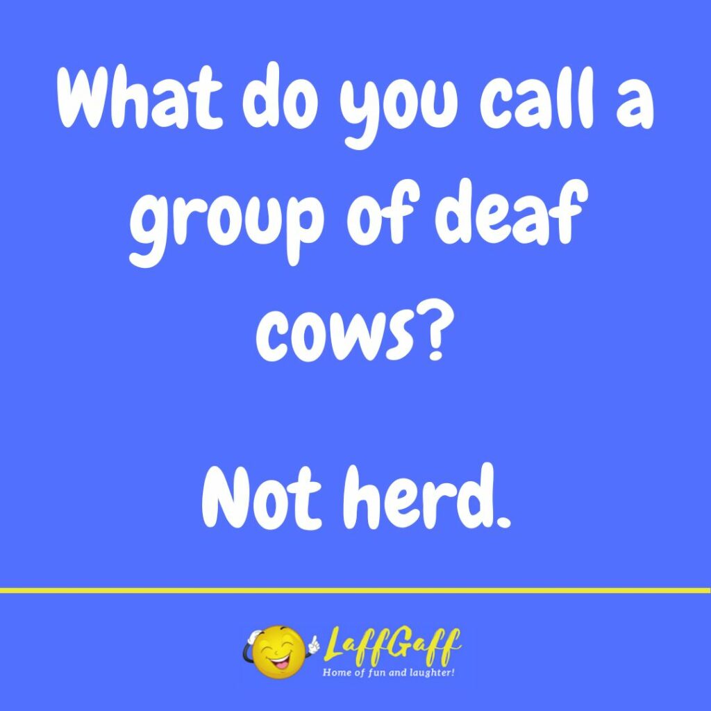 Funny Deaf Cows Joke! | LaffGaff, Home Of Laughter
