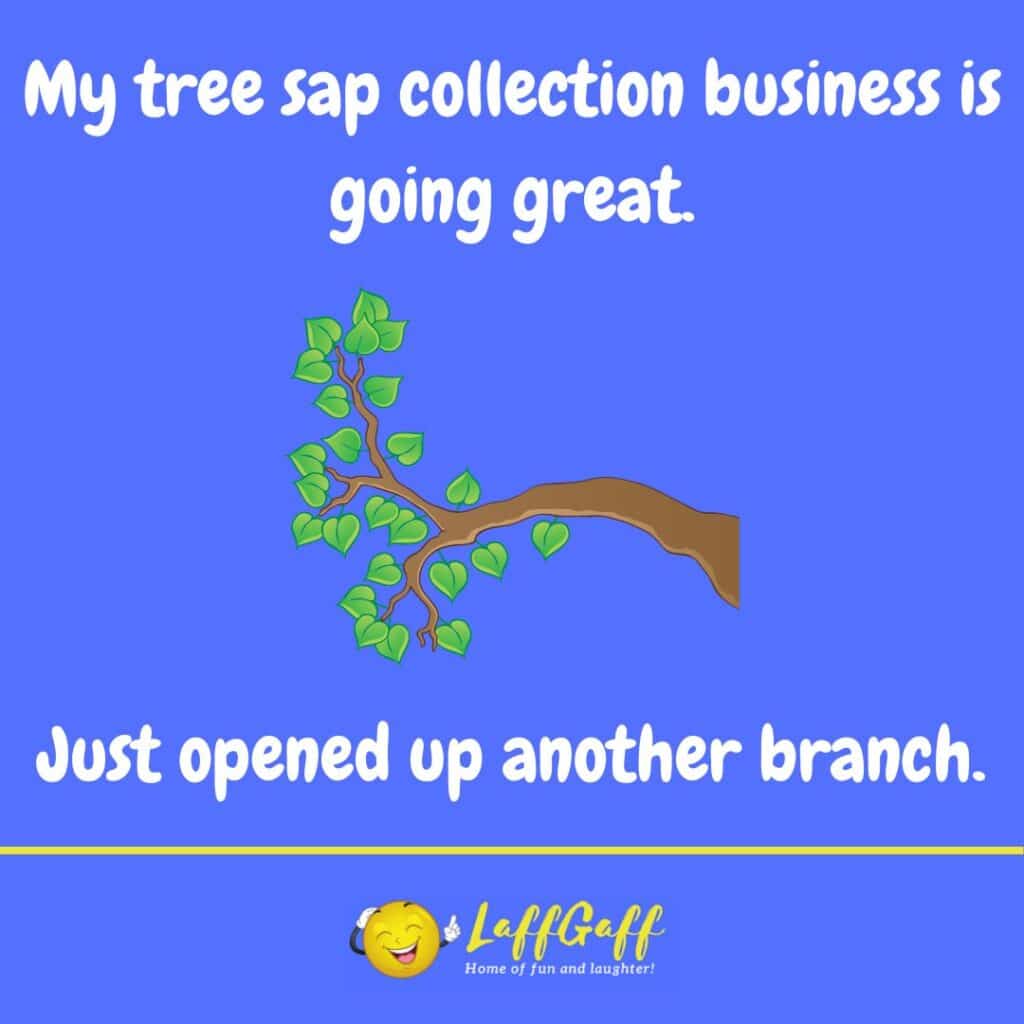 Funny Tree Sap Business Joke! | LaffGaff