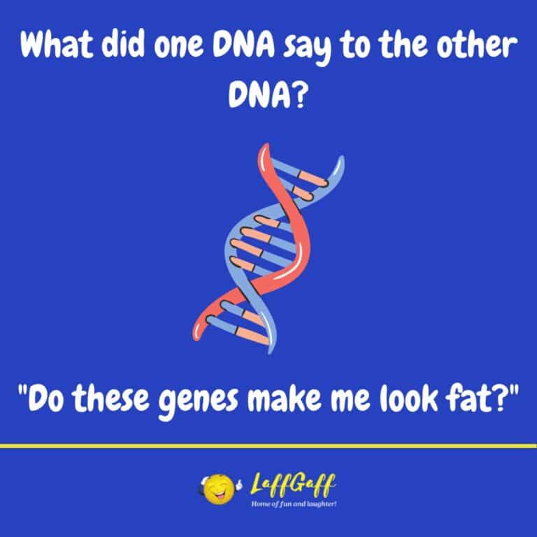 Funny Talking DNA Joke! | LaffGaff