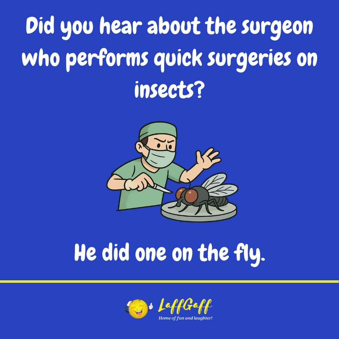 Funny Insect Surgery Joke! | LaffGaff