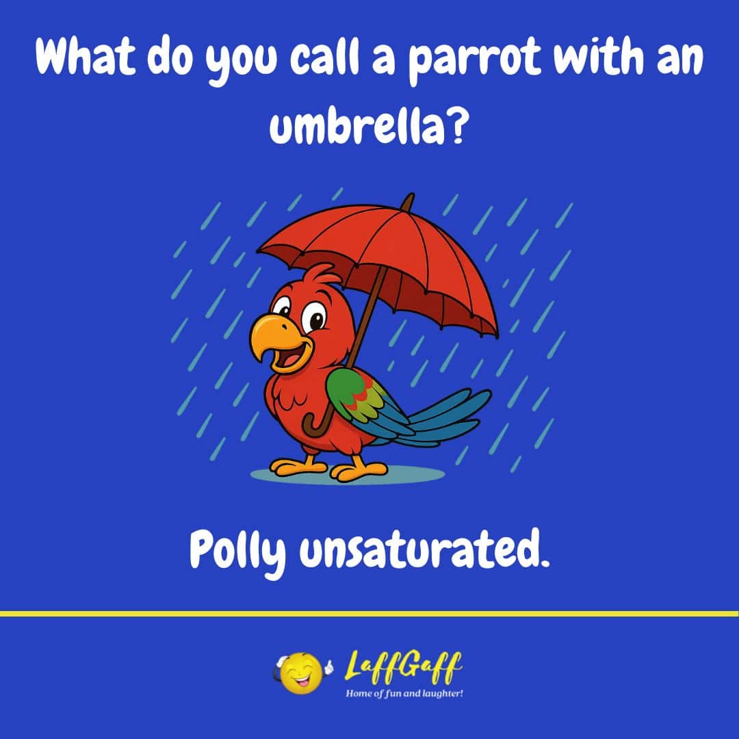 Funny Joke Of The Day | LaffGaff, Home Of Fun And Laughter