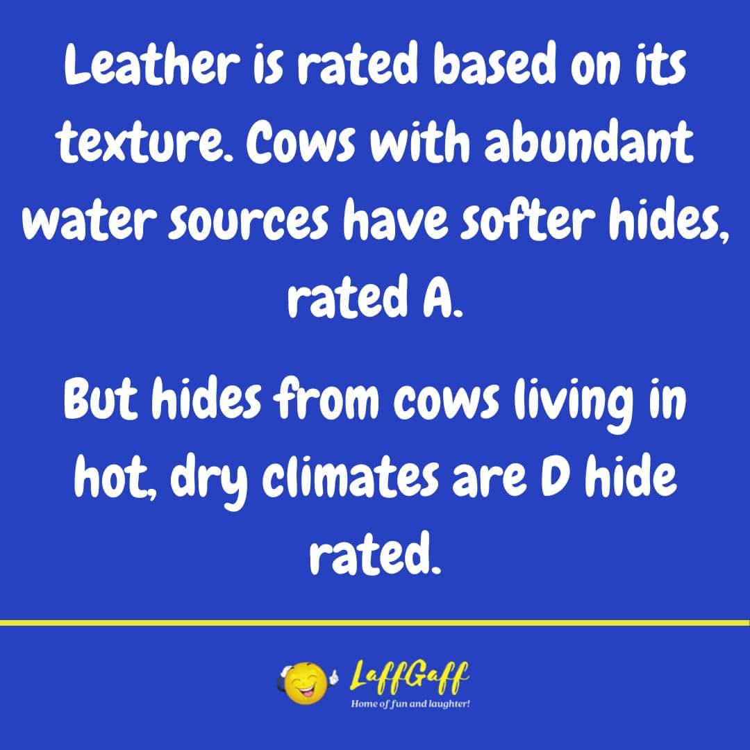 Funny Leather Rating Joke! | LaffGaff