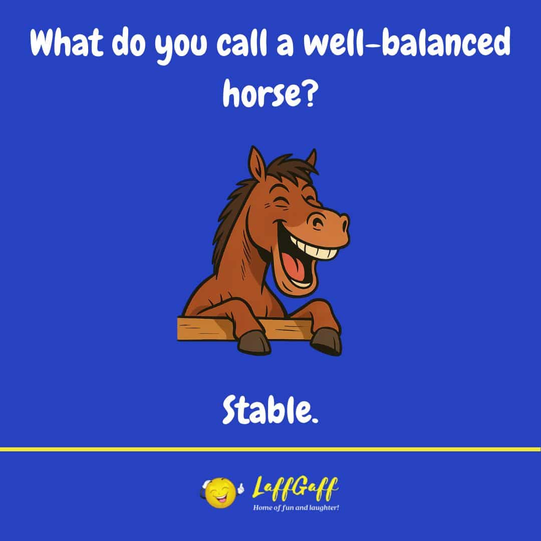 Funny Well-Balanced Horse Joke! | LaffGaff